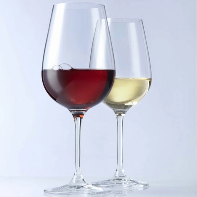 Witte Wijnglas Leonardo Tivoli 450 ml (6-delig) | Kookexpert