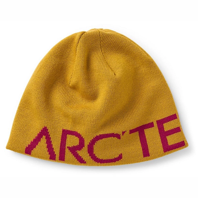 Bonnet Arc'teryx Unisex Word Head Toque Retreat/Synth | Equipementaventure