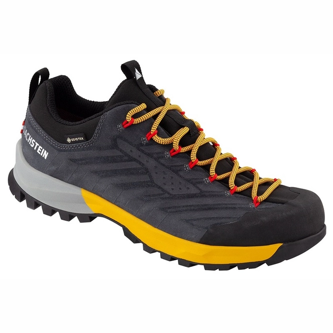 Wanderschuh Dachstein Dachstein Sf 21 GTX Anthracite Herren ...