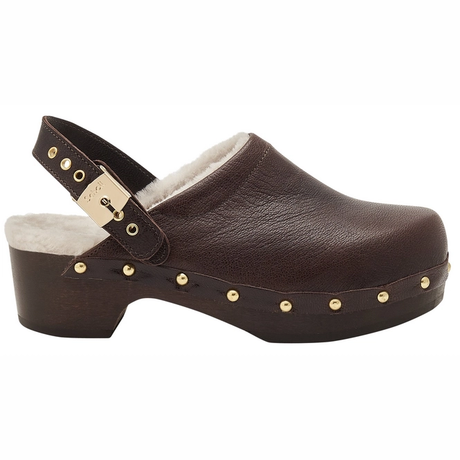 Sabots Médicaux Scholl Pescura Robin Women Leather Brown | Sabotexpert