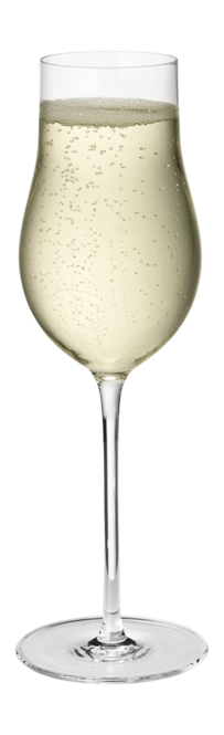 Champagne Glass Georg Jensen Sky Crystalline 250 ml (Set of 6 ...