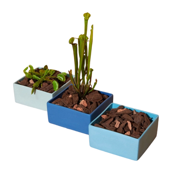Vase ASA Selection Cube Blue Bowl Aqua Aqua 9 x 9 cm | Etrias.de