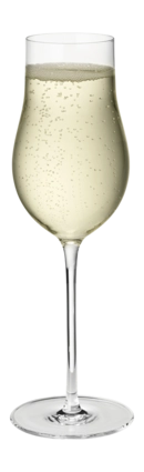 Champagne Glass Georg Jensen Sky Crystalline 250 ml (Set of 6 ...