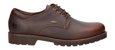Veterschoen Panama Jack Men Jackson GTX C1 Napa Grass Castano ...