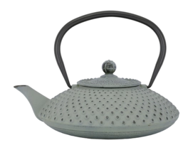 Théière Bredemeijer Xilin Fonte Vert Clair 1,25L | Cuisineetcocotte